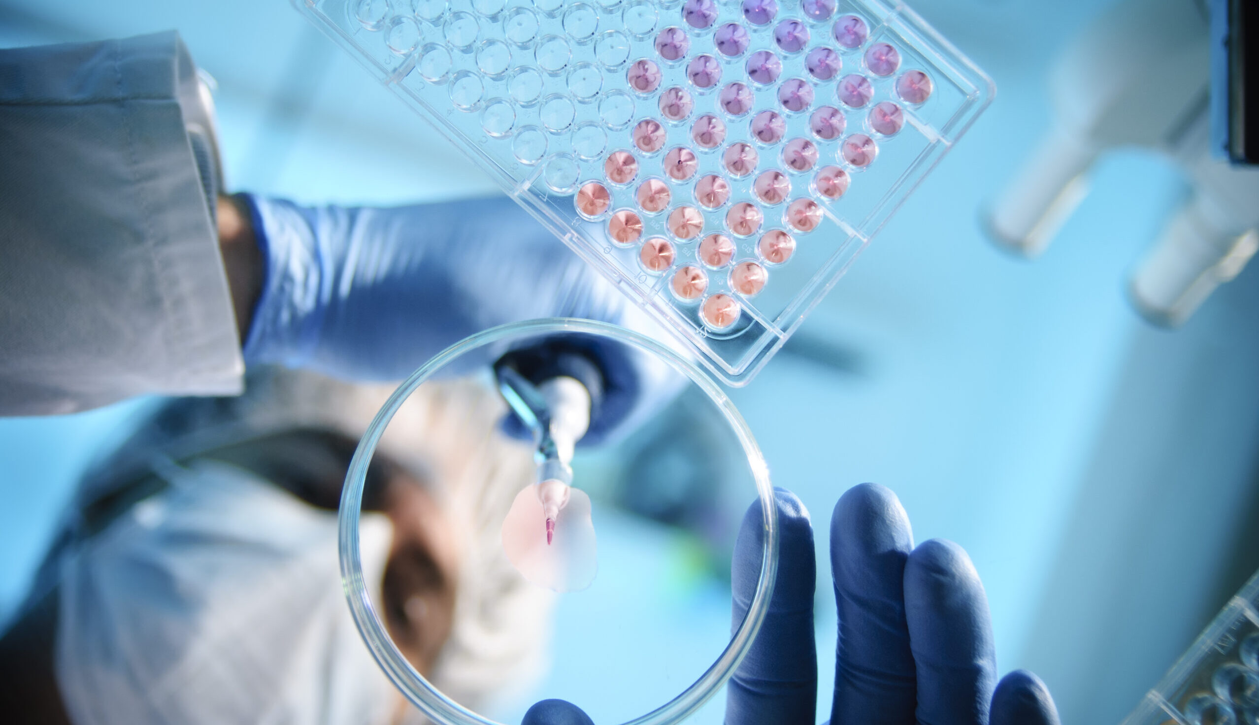 Biologisk utvärdering av medicintekniska produkter - Plantvision